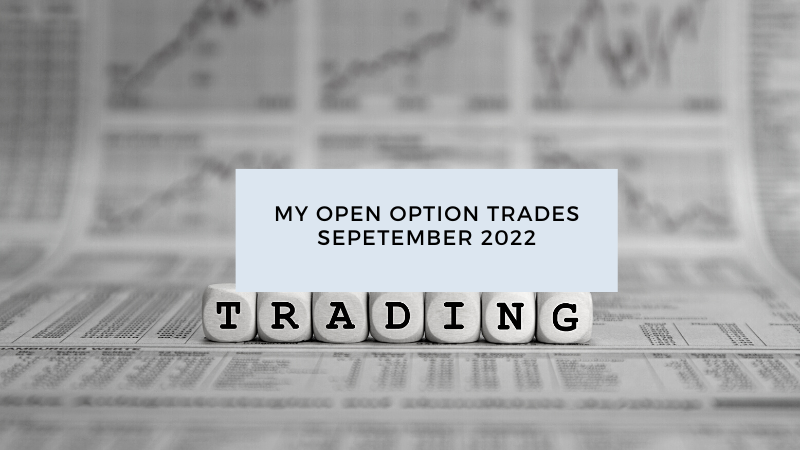 Current Open Options Trades | Engineer My Freedom